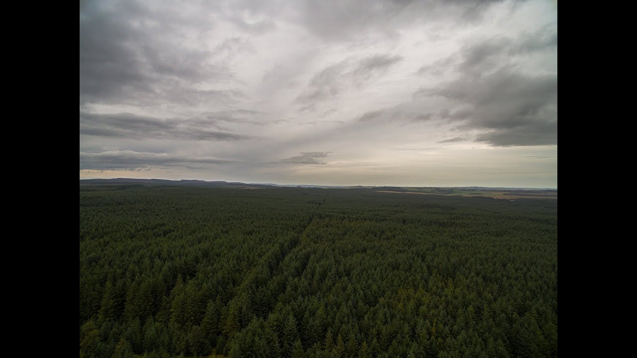 Harwood Forest Phantom 3 Professional Drone Flight - YouTube