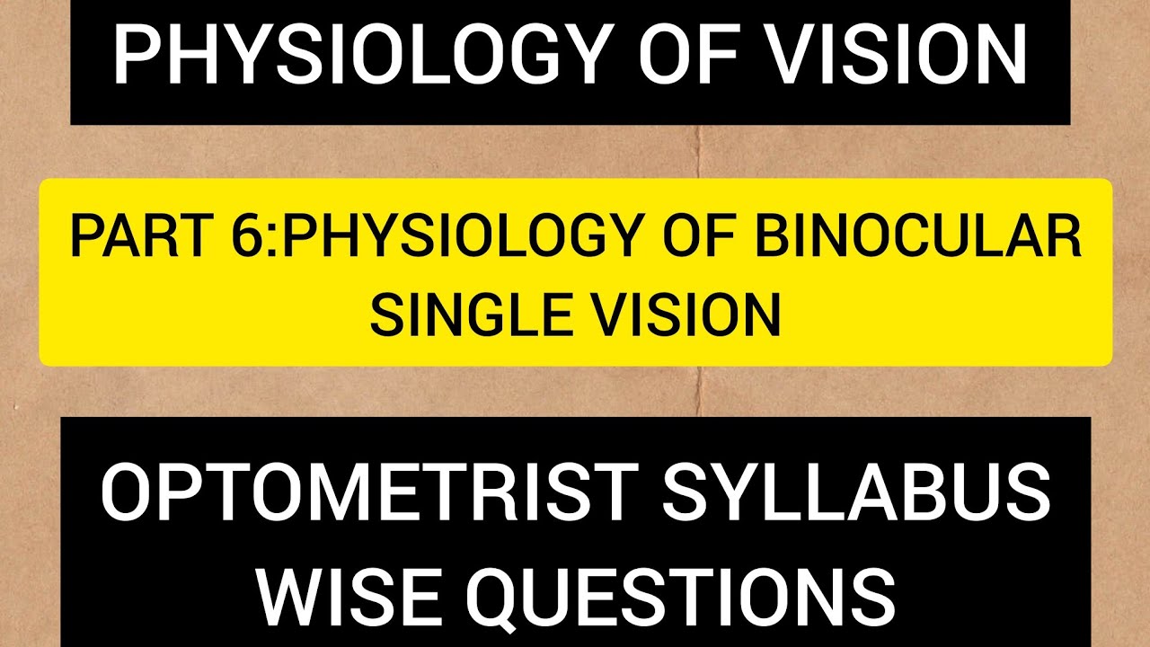 PHYSIOLOGY OF VISION PART 6:PHYSIOLOGY OF BINOCULAR SINGLE VISION - YouTube