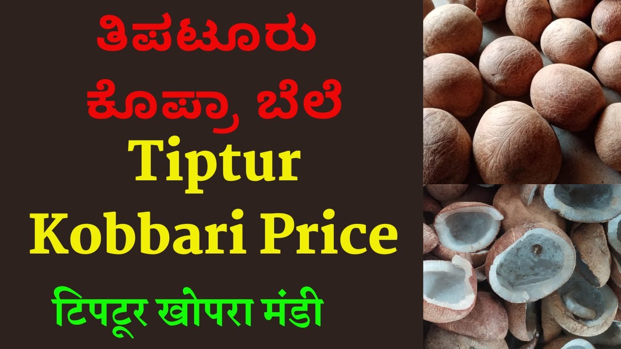 Copra Price At Tiptur APMC Market | Kobbari Rate at Tiptur Mandi ...