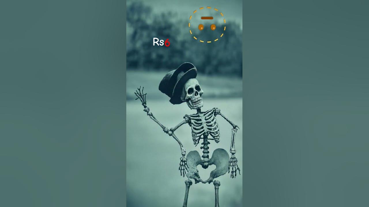Rs6 Crashshort Youtube