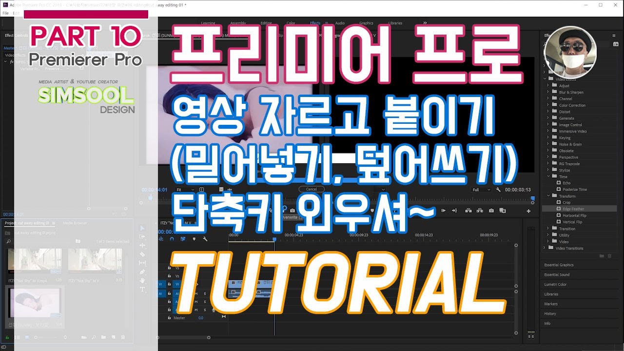 SIMSOOL DESIGN Premiere Pro part 10 Cut editing 4 & insert, overwrite - YouTube