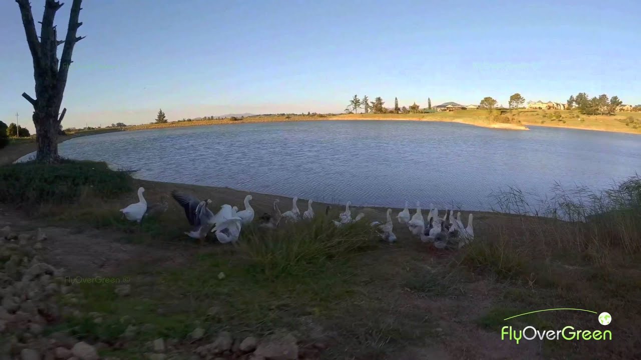 Devonvale Golf And Wine Estate - drone aerial video - Overview (long ...