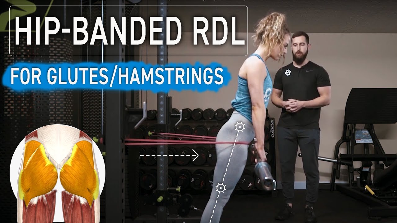 Banded Barbell Romanian Deadlift (RDL) | Proper Technique for Targeting ...