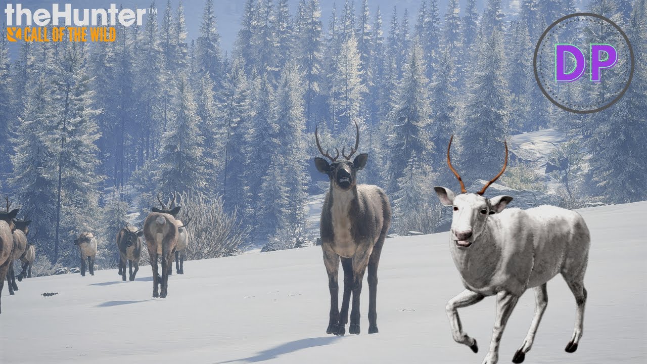 theHunter Call of the Wild - Albino Reindeer Medved Taiga - YouTube