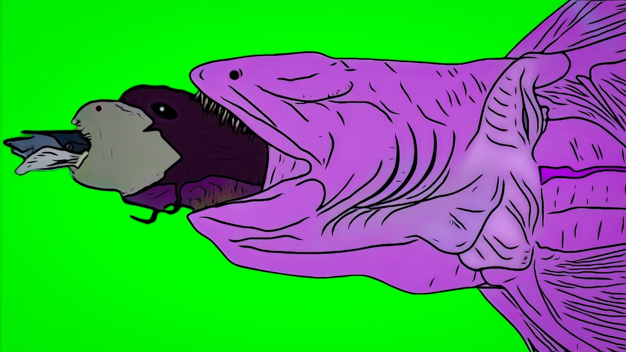 Shark to Bloop Fish Eat Fish Size Comparison‼️ - YouTube