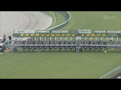 2022 OSAKA HAI (G1) | JRA Official - YouTube