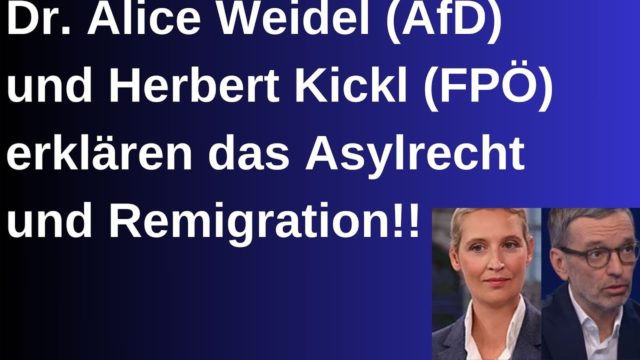 Dr. Alice Weidel AfD und Herbert Kickl FPÖ erklären Asylrecht und ...
