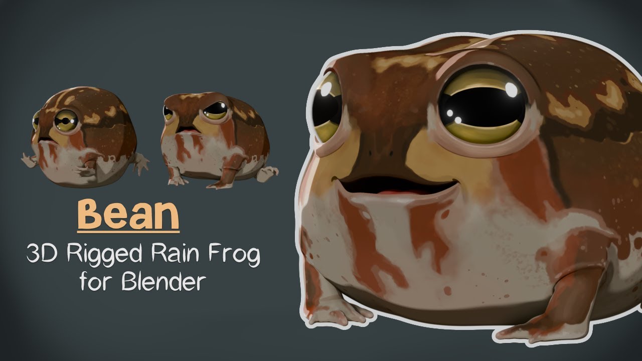 Bean - Rigged 3D Rain Frog for Blender - Demo - YouTube
