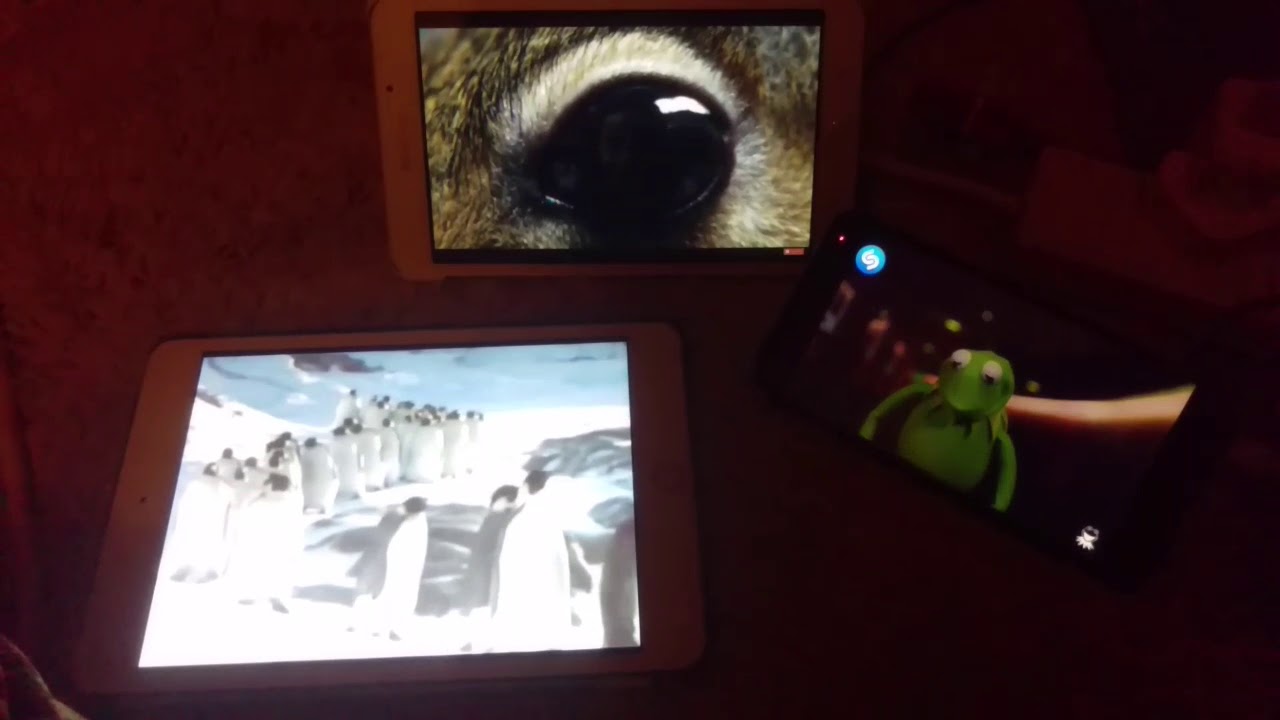 Veruca salt getting a squirrel jumping off the seat with the penguin ...