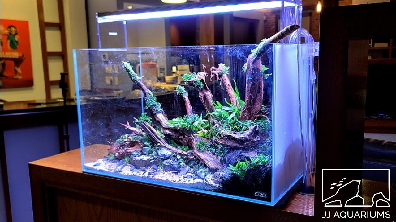 Planting The ADA 60P Aquarium - YouTube