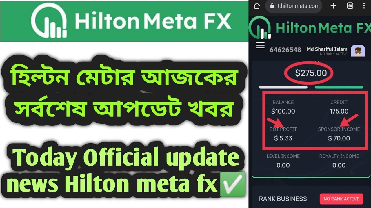 Hilton meta fx today new big official update good news Hai 2023 ...