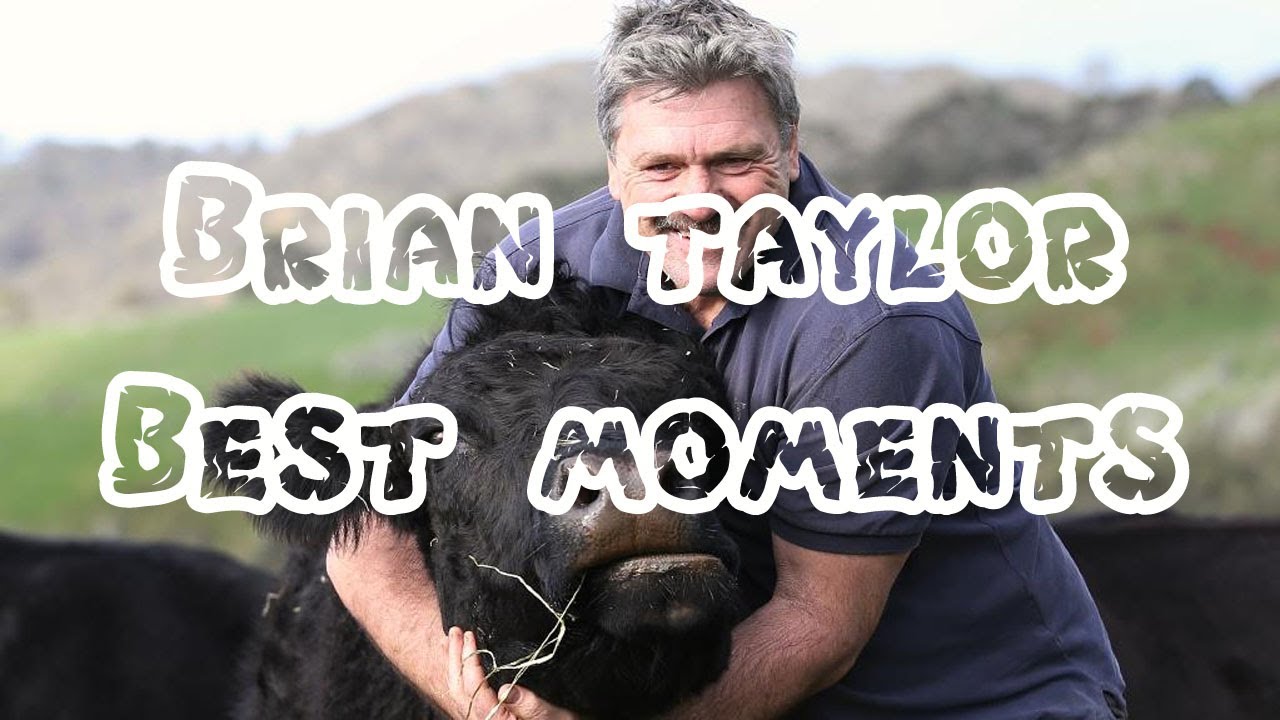 THE BEST OF BRIAN TAYLOR - YouTube