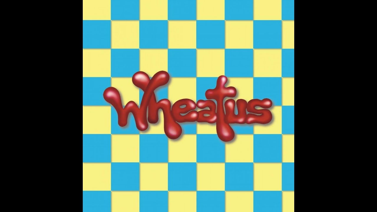 Wheatus - Teenage Dirtbag (PINEO & LOEB Remix) - YouTube