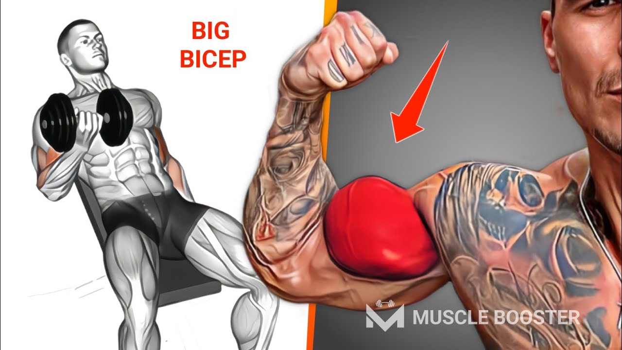 8 Amazing Exercises To Develop Your Biceps How To Build Your Biceps ...