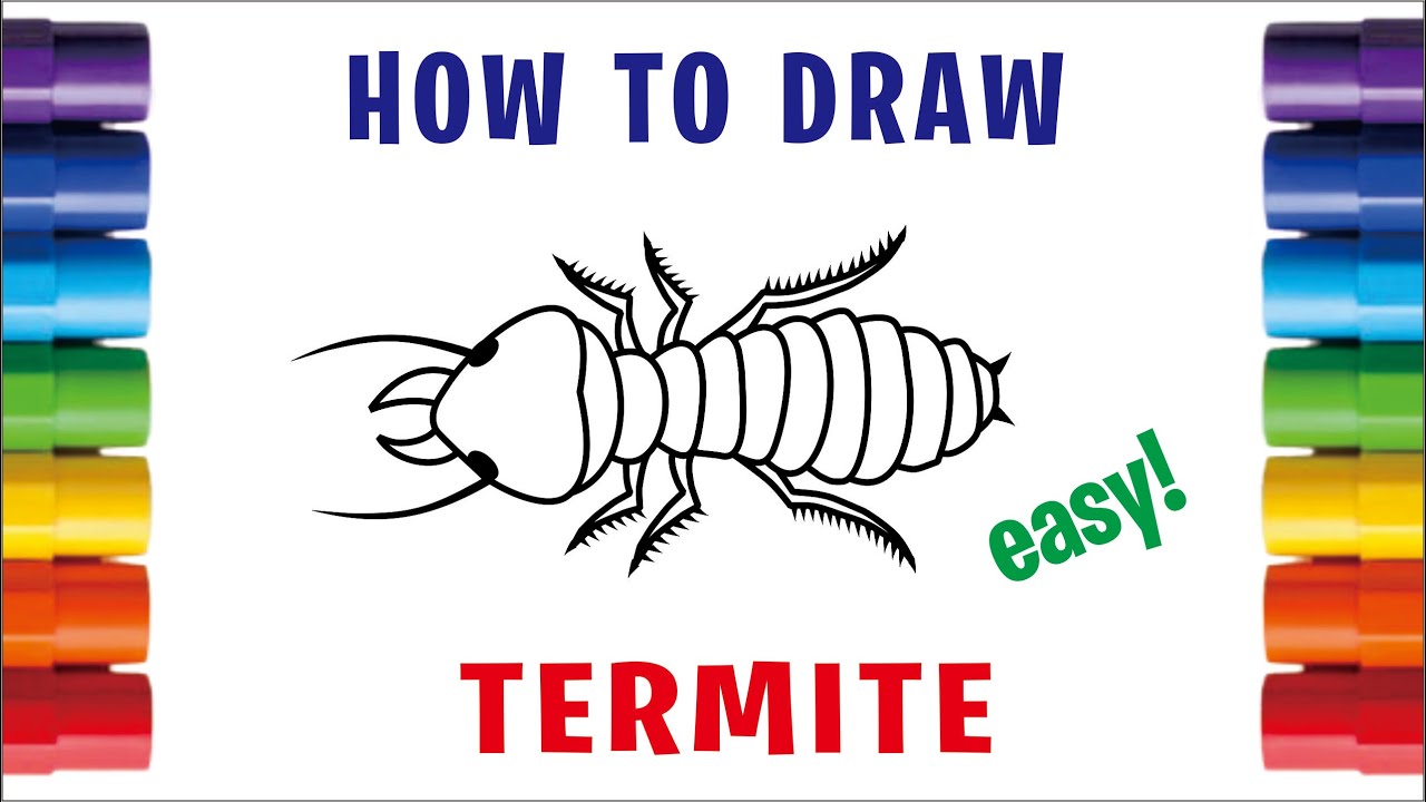 Draw a termite | Termite drawing easy step by step | Cara menggambar ...