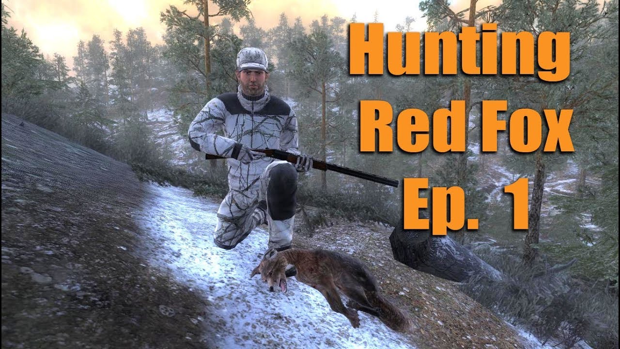 The Hunter Classic - Hunting Red Fox Ep.1 - YouTube