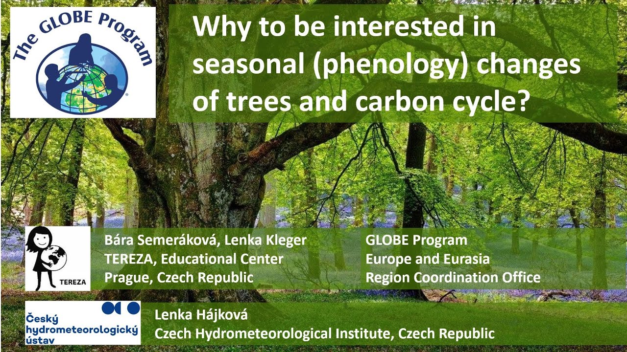Phenology, Trees and Carbon Cycle online lesson - YouTube
