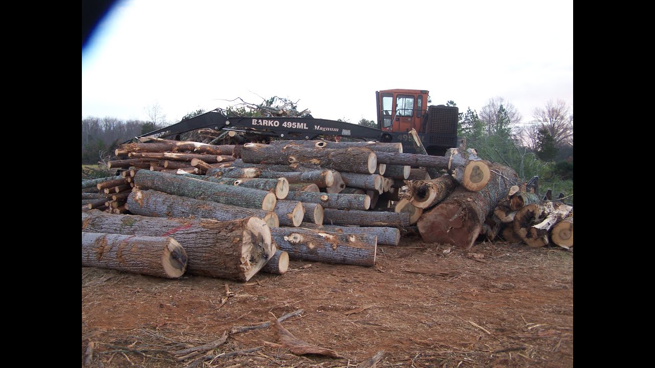 Small Property Logging Operation - YouTube