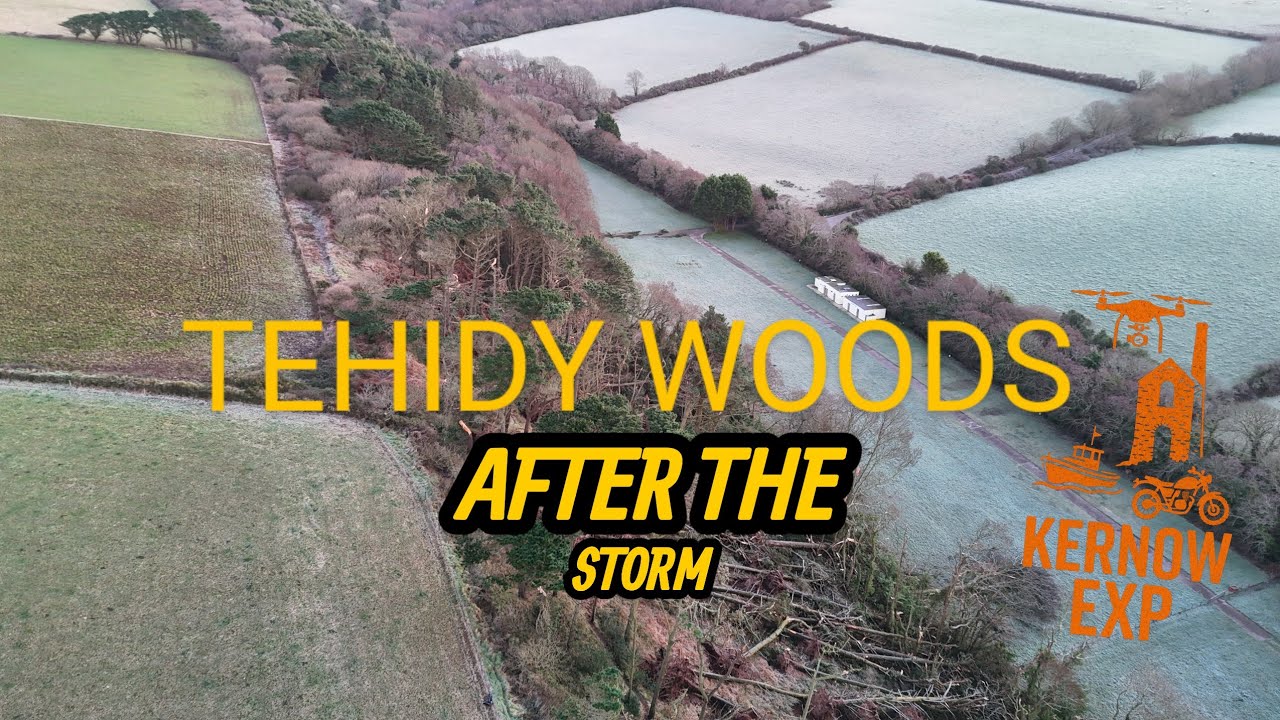 TEHIDY WOODS CORNWALL - YouTube