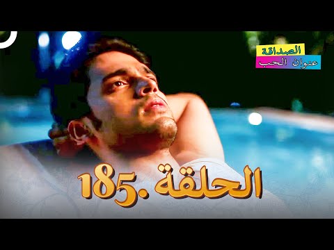 الصداقة عنوان الحب الحلقة 185