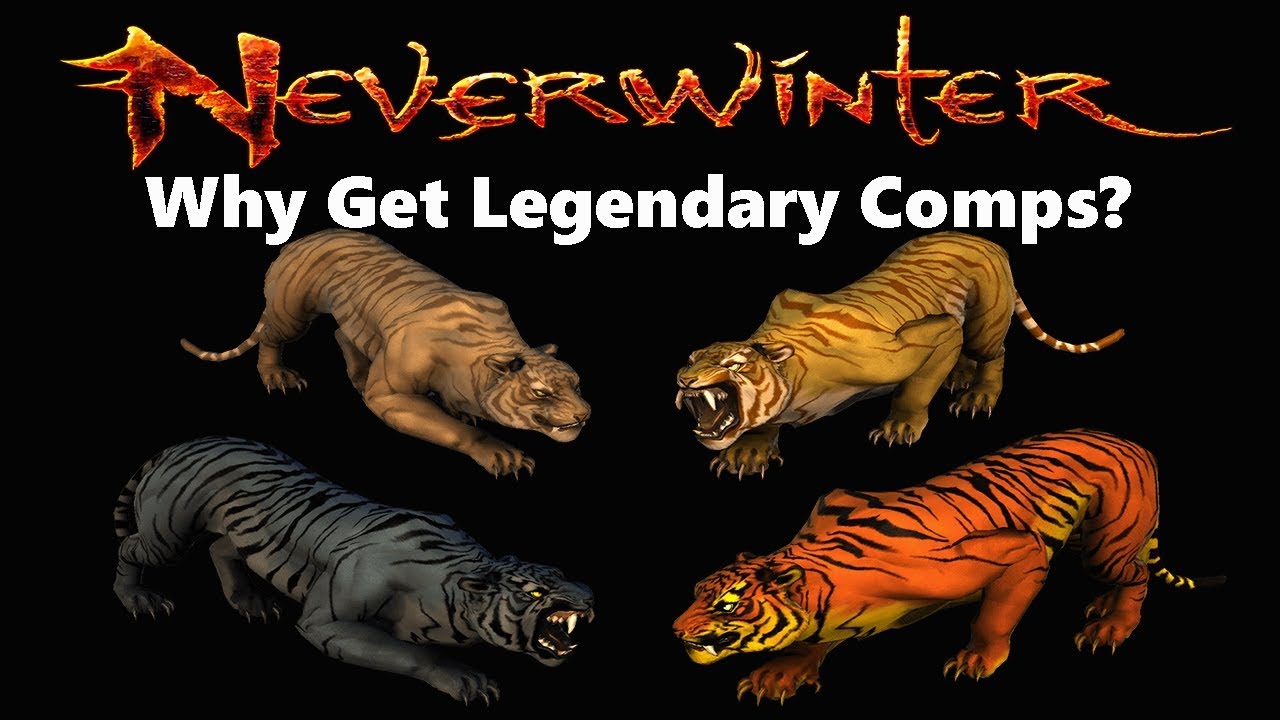 Neverwinter - Why Should You Get Legendary Companions? - YouTube