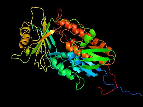 Modelagem básica de proteínas por homologia utilizando o MODELLER.