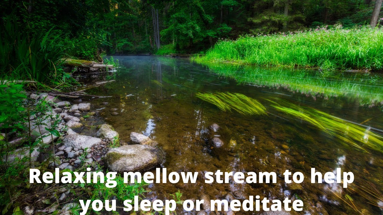 Relax with this mellow slow moving stream that babbles just enough for ...