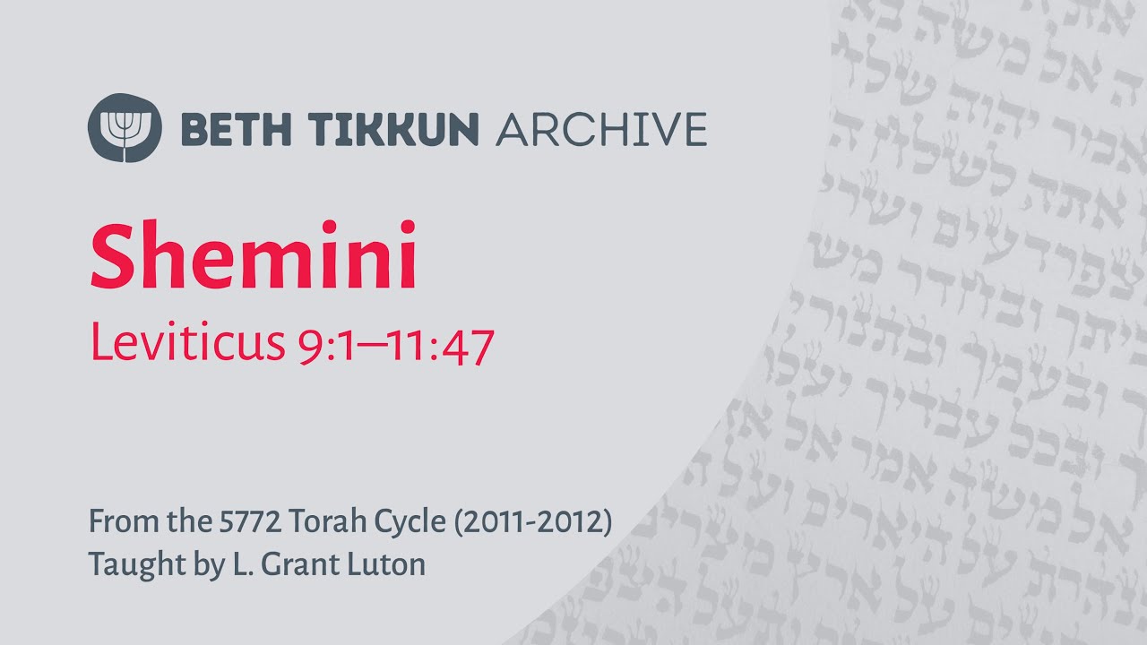 "Shemini" | Torah Cycle 5772, 2011-2012 - YouTube