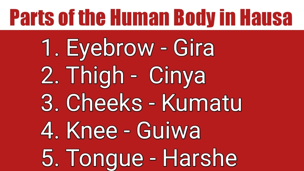 Koyon Turanci: Parts of the Human Body in English and Hausa Part 1 - YouTube
