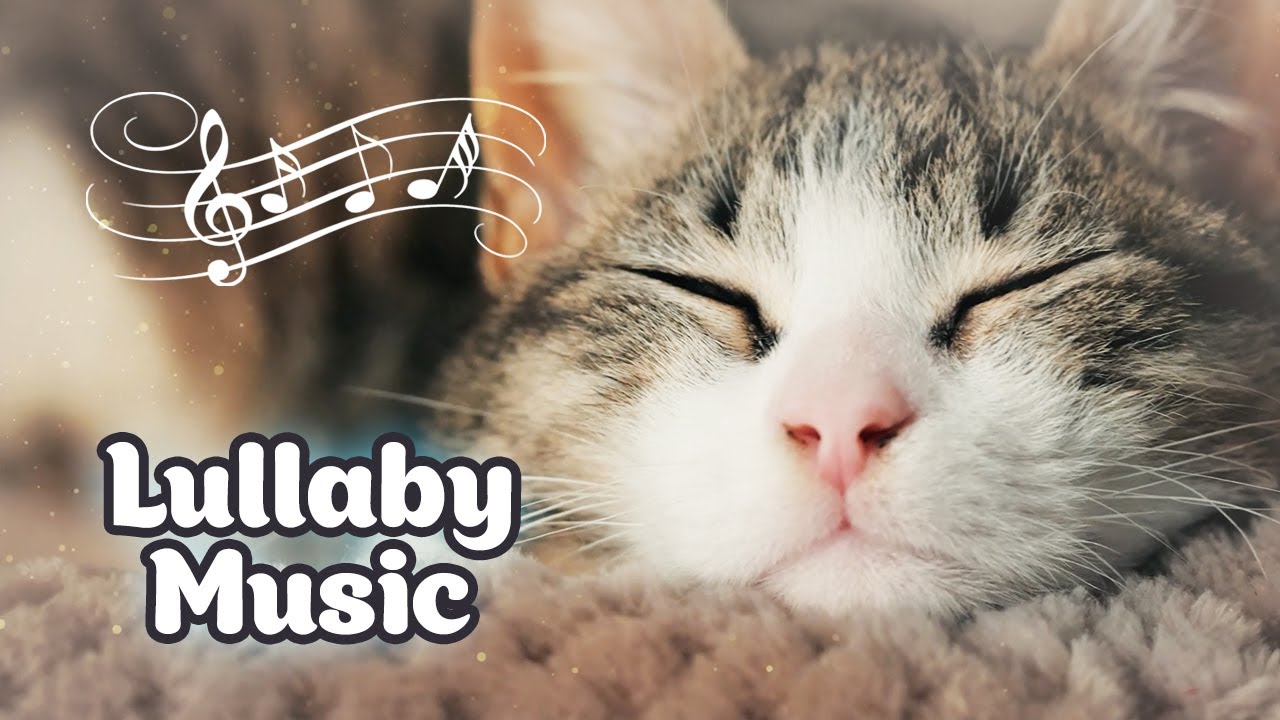 Cat lullaby to sleep, Water sounds ♬ Piano music for cats 10 hours 🎹 ...