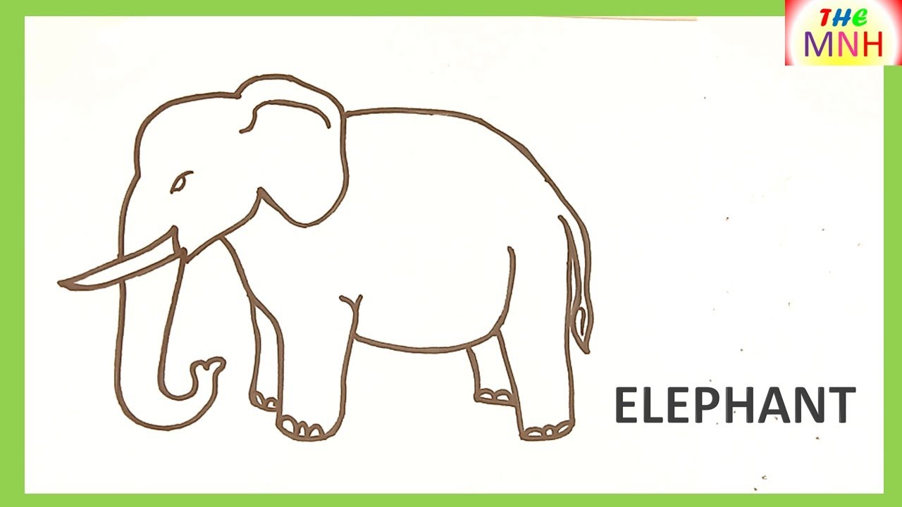 How to draw an Elephant easy step by step for kids - YouTube
