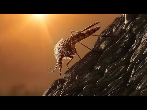 Jurassic World Dominion Imax Extended Look Hd Remake Youtube
