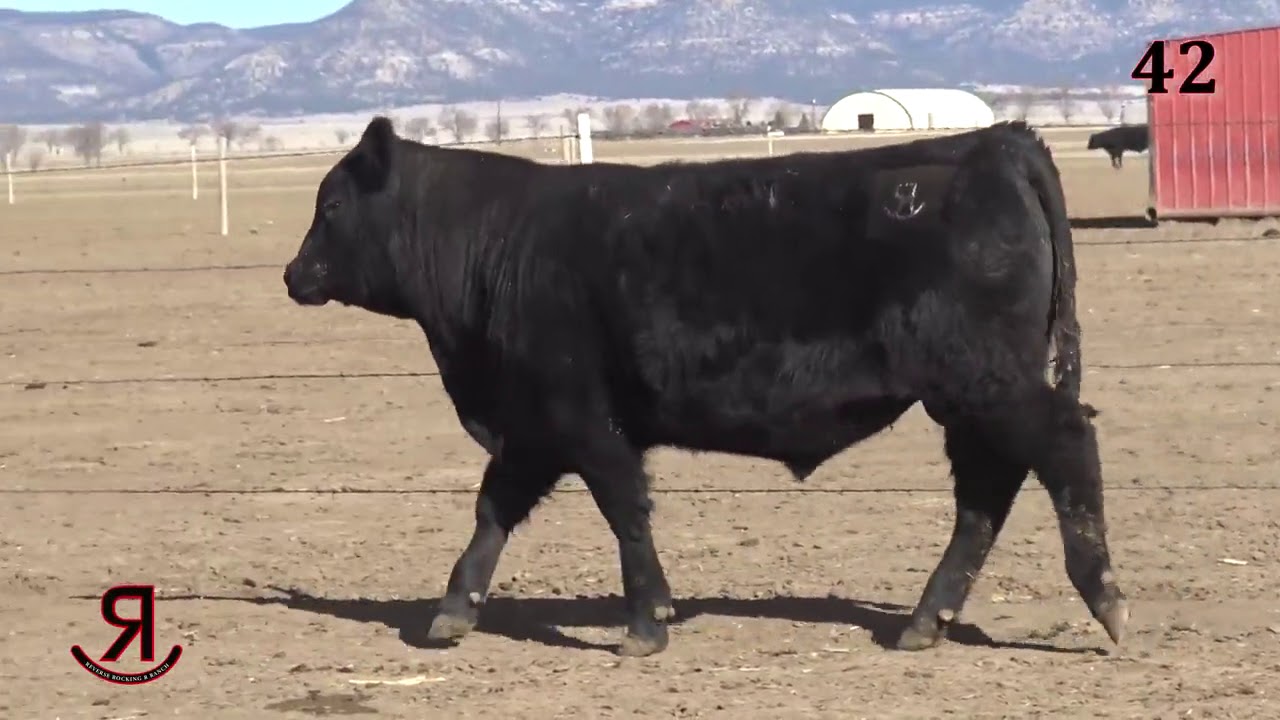 Reverse Rocking R Ranch Lot 42 - YouTube