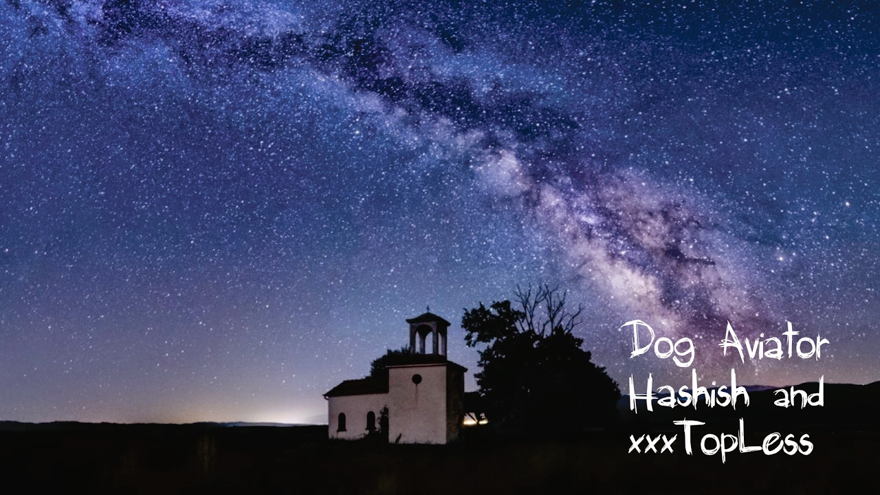 Transmissão ao vivo de Dog_San Fui Ao Mossar - YouTube