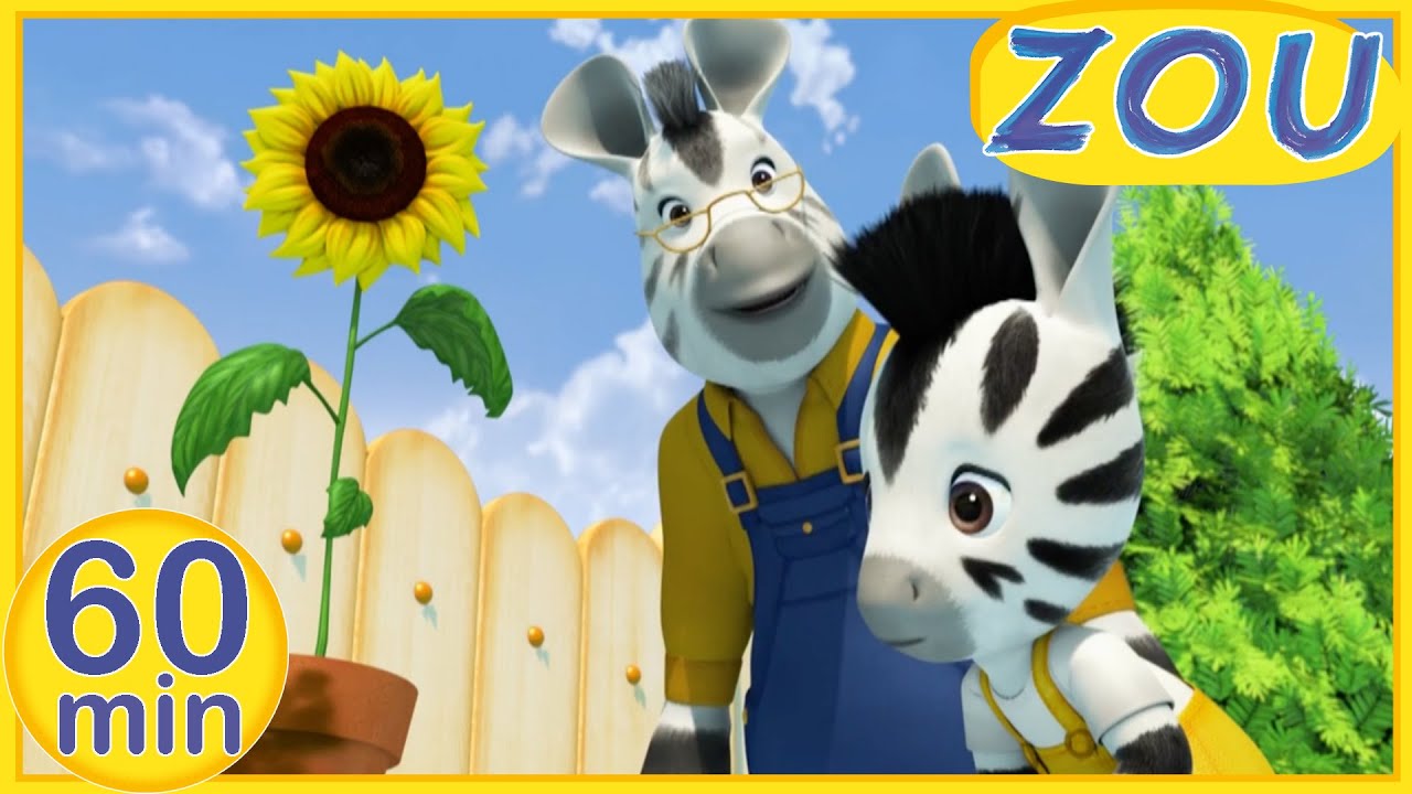 Zou in English 🌻 ZOU DISCOVERS NATURE 🌿 60 min COMPILATION | Cartoons ...