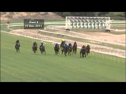 Perth Racing - the Western Australian Turf Club Race results and ...