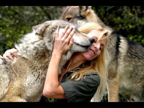 CAN PET WOLVES LIVE WITH YOU?
