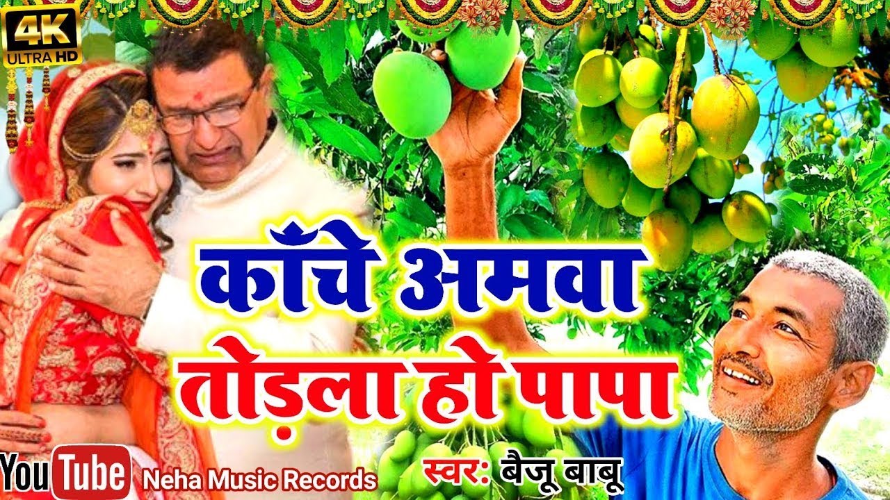 कॉंचे अमवा तोड़ला हो पापा || Kache Amwa Todla Ho Papa ||दर्द भरा बेटी ...