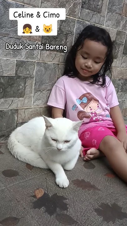 Sesayang itu mereka || Celine & Cimo #celineadacerita #miau - YouTube