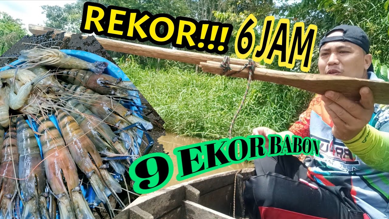 record!!! 6 hours 9 giant prawns ||REKOR!! 6 jam 9 ekor babon ...