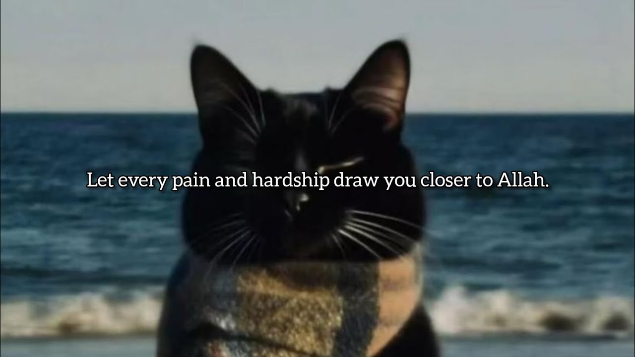 Let every pain and hardship draw you closer to Allah. When you feel ...