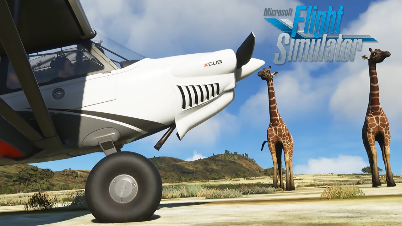 The Animals Of Microsoft Flight Simulator 2020 | Hands On Beta Preview ...