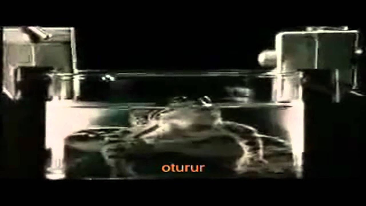 Boiling Frog Effect at George Delano blog