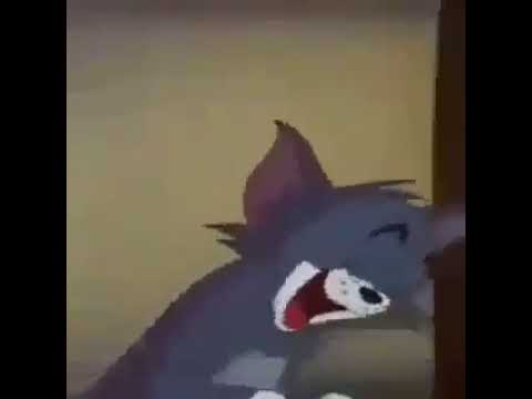 Tom cat laugh sence (cut) - YouTube