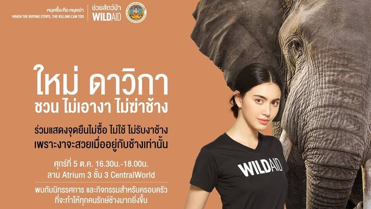 Mai Davika..New WildAid Thailand Ambassador - YouTube