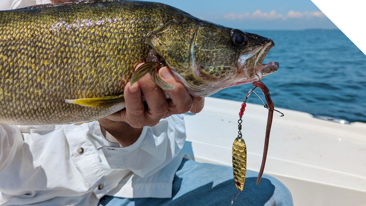 Bottom Bounce Trolling for walleye - Viper Spoon and worm combo - YouTube