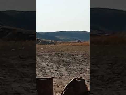 iBİBİK (HÜDHÜD) KUŞLARINDAN SÜRPRİZ