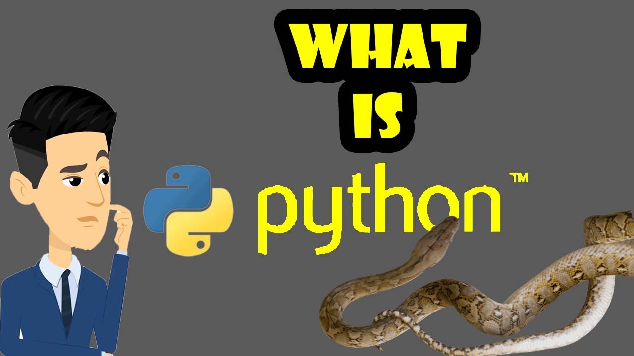 What is python I Tech Bro - YouTube