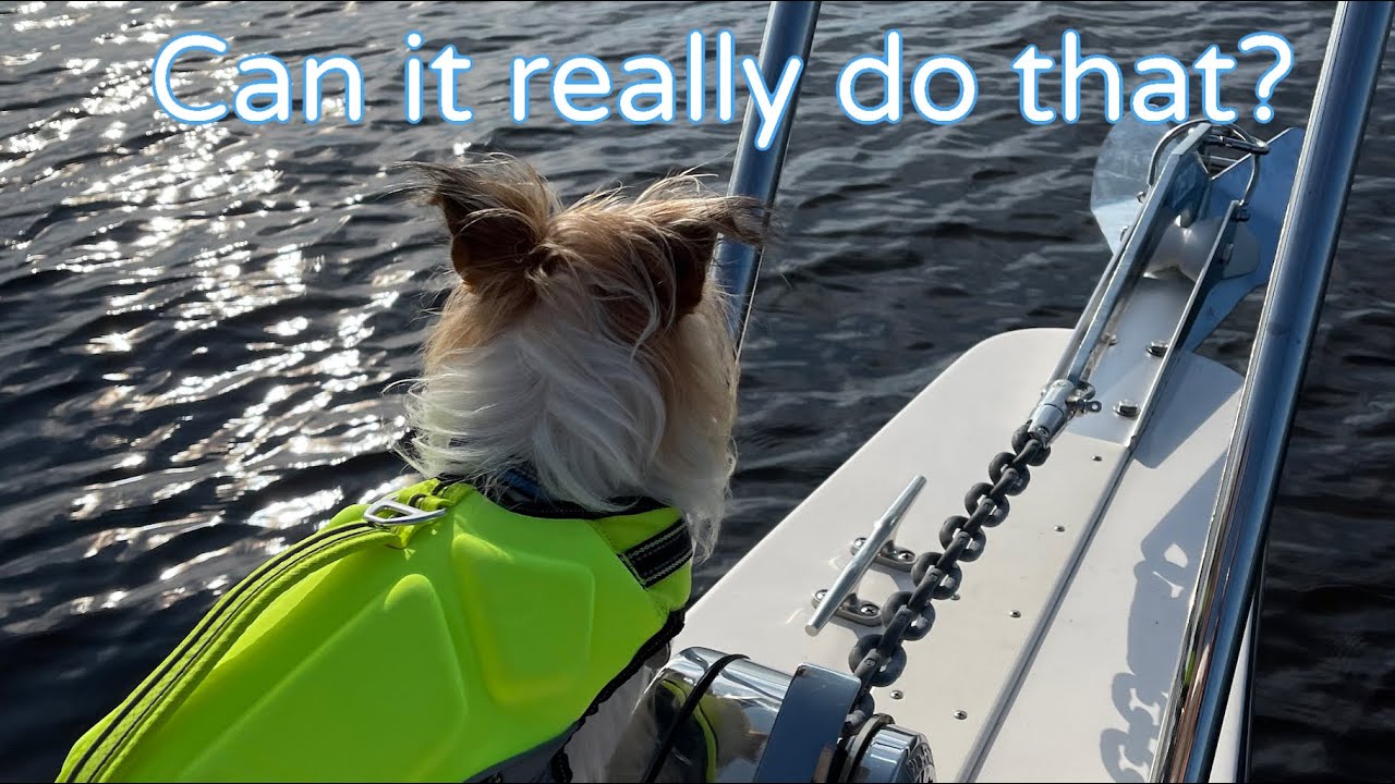 The Most Versatile Boat on the Water. - YouTube