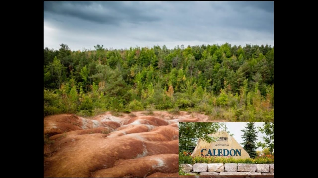 Town of Caledon Ontario|Long Drive|Fall View|Canada|2024 - YouTube